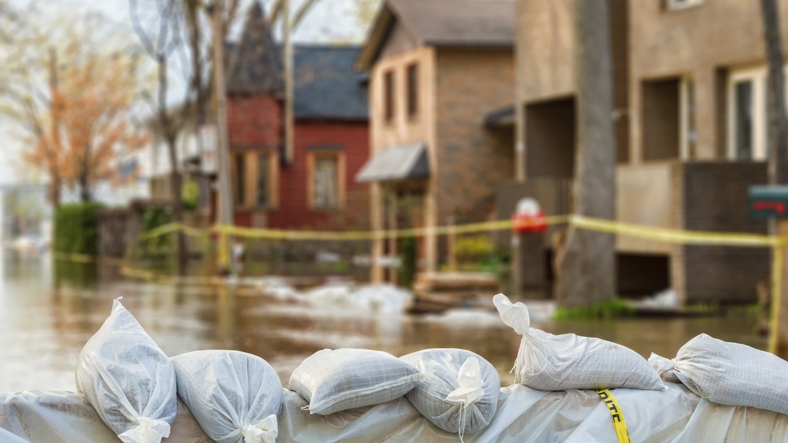 Buyer Beware: Evaluating Property Disclosure as a Tool to Support Flood ...